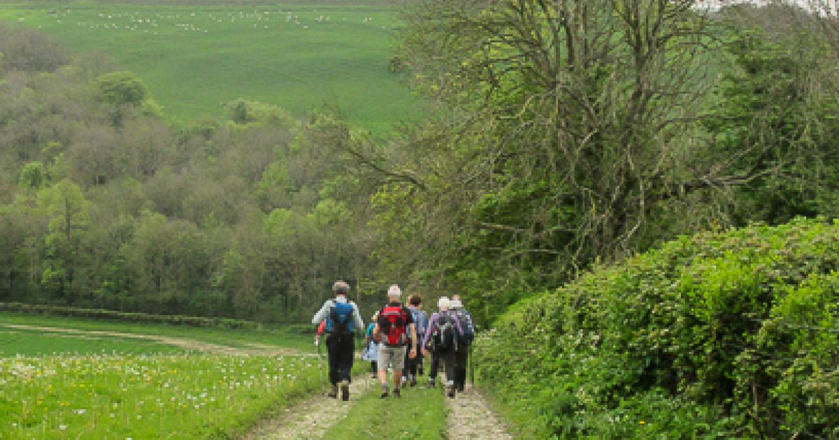 Sixpenny Handley circular. via Cranborne. - Ramblers